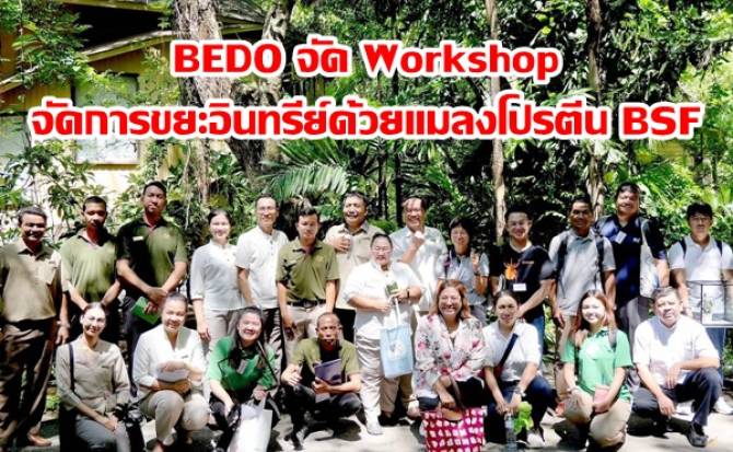 บ้านเมือง - BEDO จัด Workshop จัดการขยะอินทรีย์ด้วยแมลงโปรตีน BSF