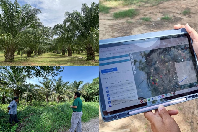 บ้านเมือง - กรมส่งเสริมการเกษตรขับเคลื่อน “ฐานข้อมูลแปลงเกษตรดิจิทัล ...