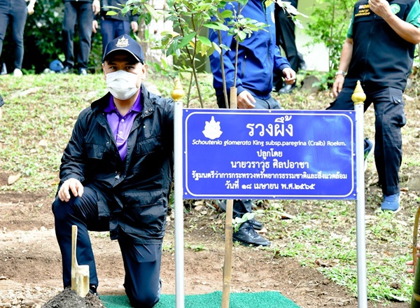 บ้านเมือง - รมว.วราวุธ ติดตามผลการขับเคลื่อน Nan Sandbox ย้ำ! ปัญหาของ ...